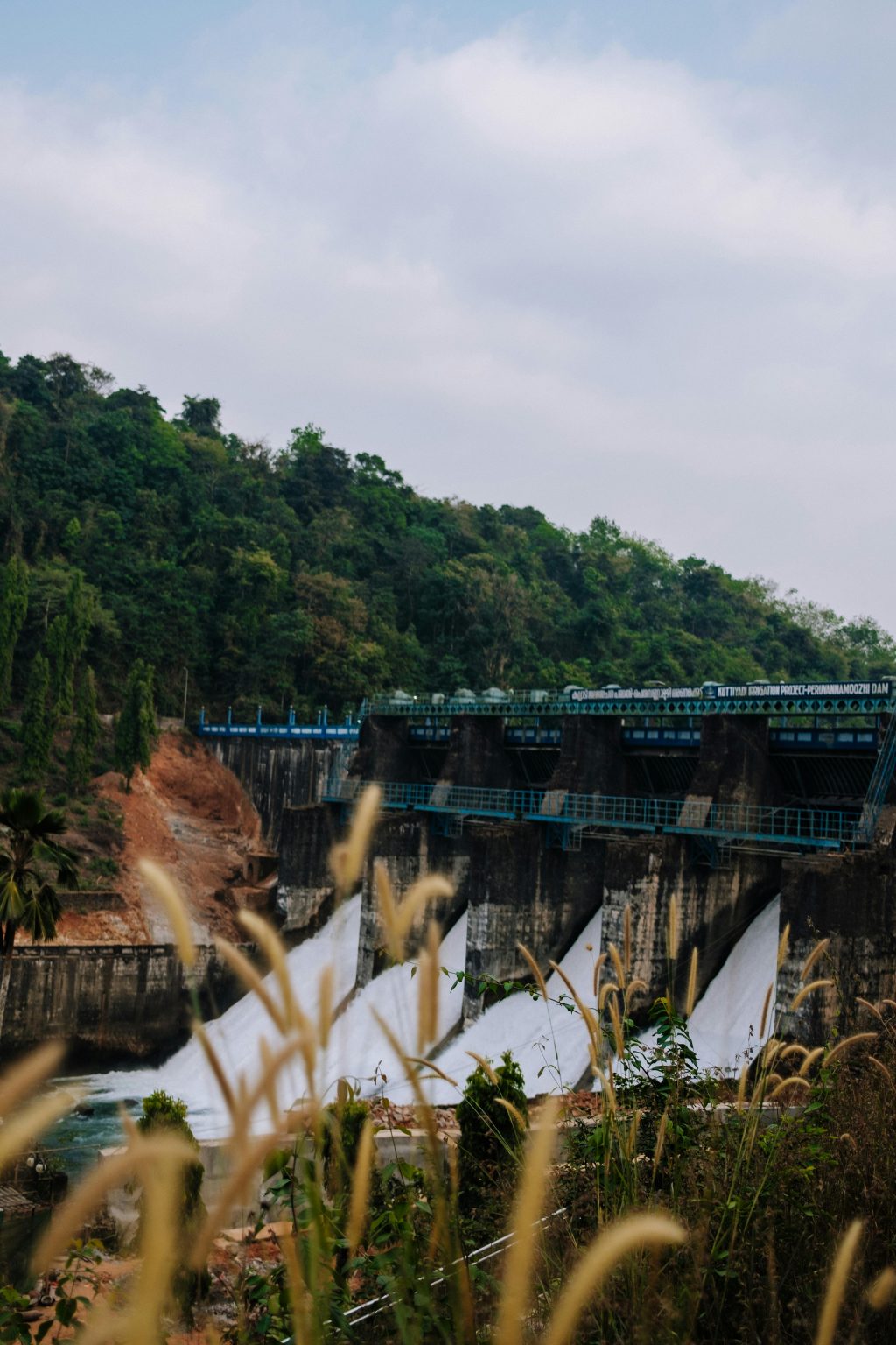Building ASEAN's clean energy system in harmony with nature - Energy ...